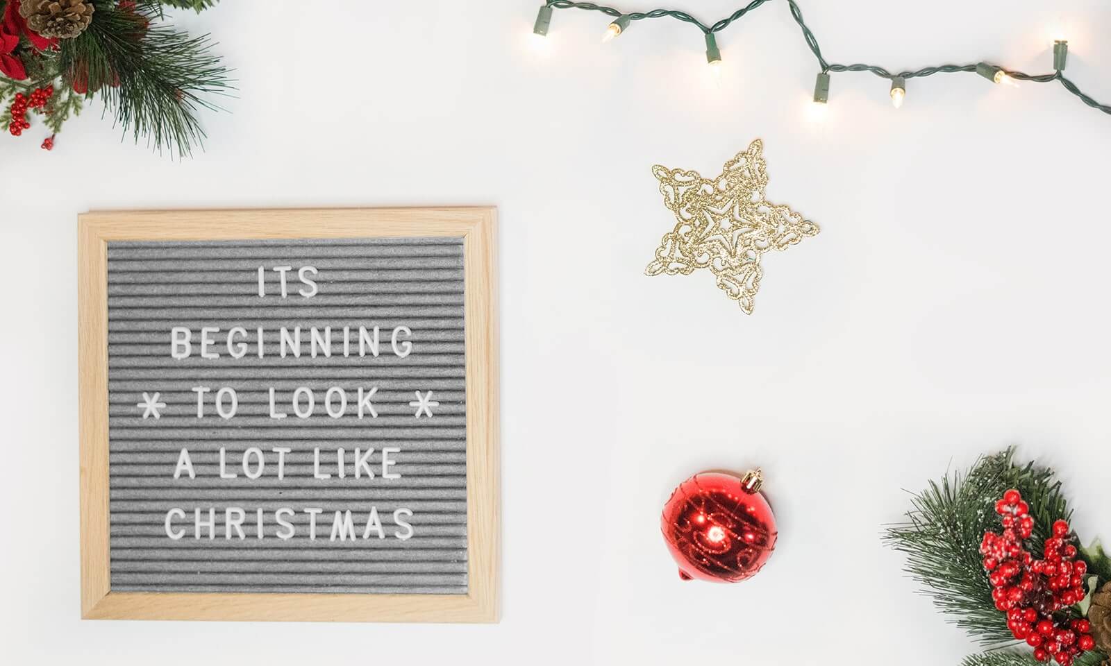 Wow Animation | Cuba - Premium Admin Template By Pixelstrap